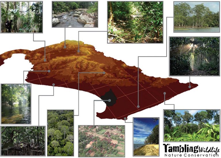 ABOUT US – Tambling Wildlife Nature Conservation