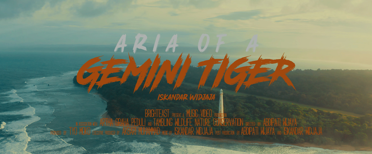 ARIA OF GEMINI TIGER – Iskandar Widjaja – Tambling Wildlife Nature ...